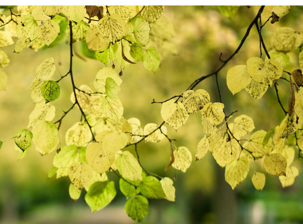 banner_高海旭-站酷ZCOOL