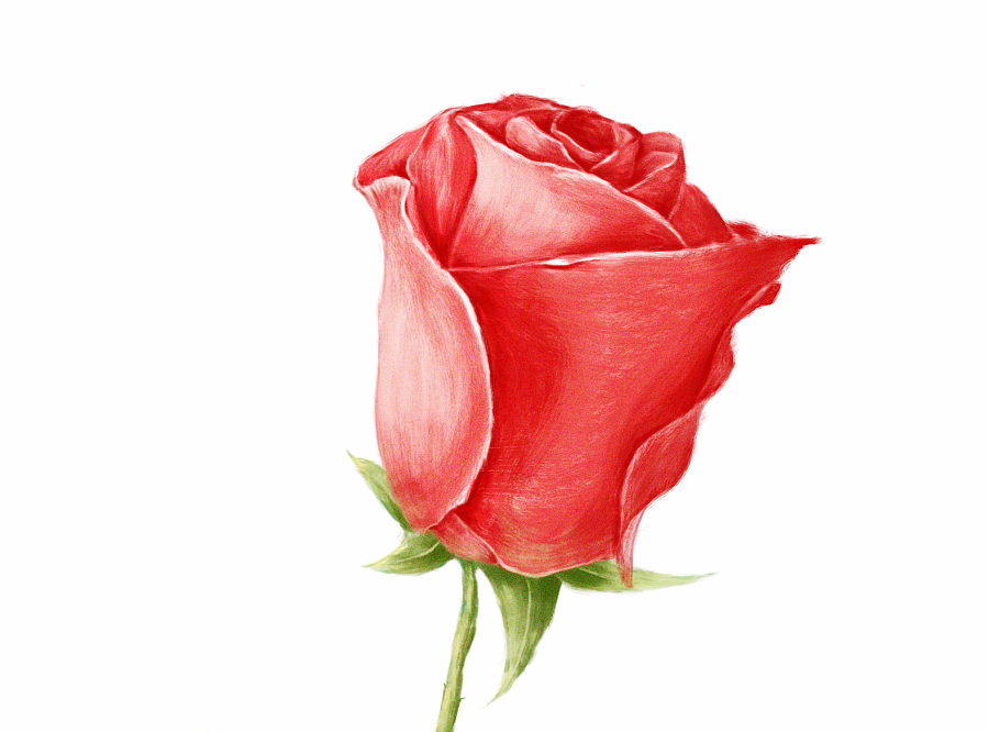 浪漫七夕_Sunlyr-站酷ZCOOL