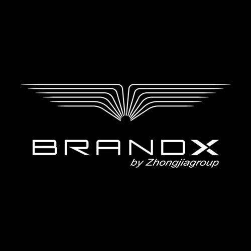 BRANDX中嘉集团创作者主页_北京艺术工作者-站酷ZCOOL
