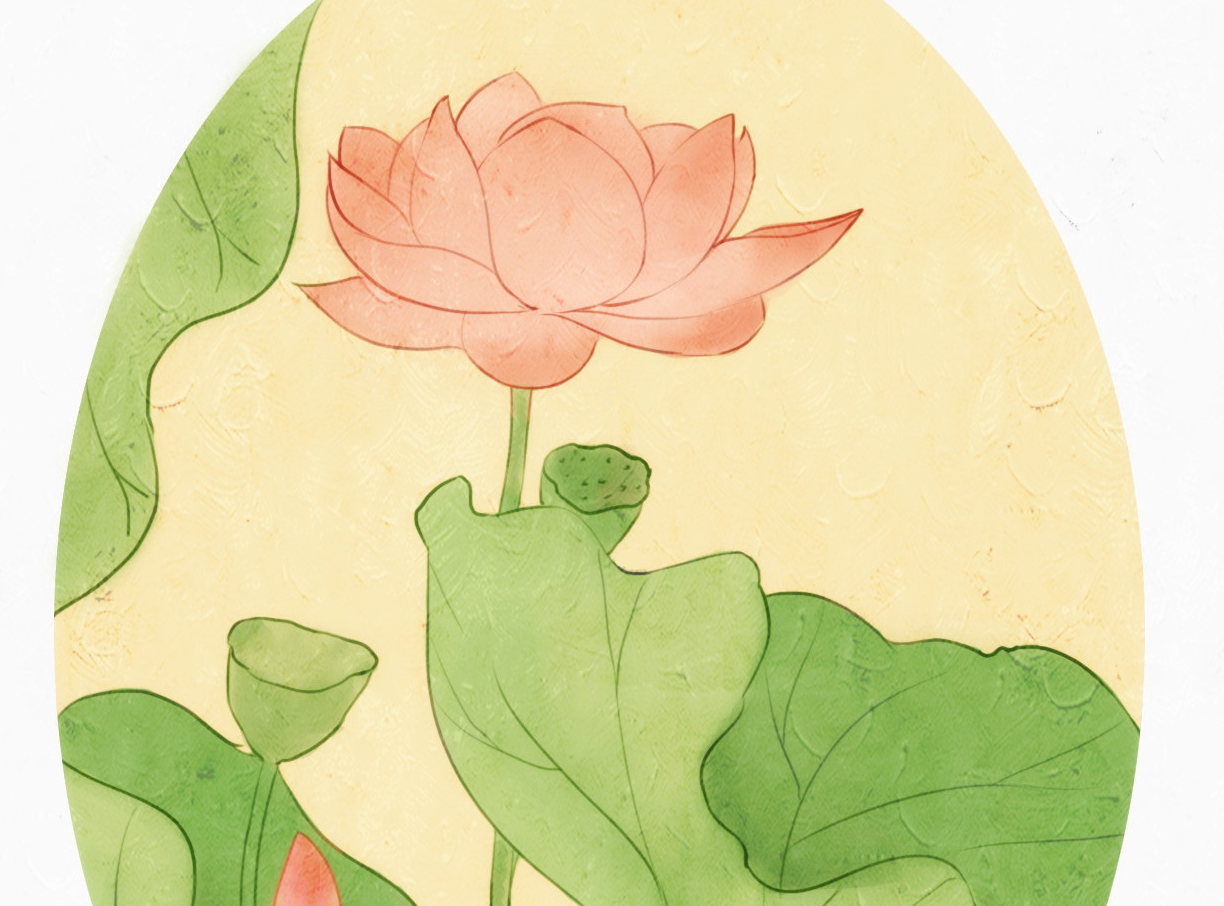 荷花儿_VVVVY-站酷ZCOOL