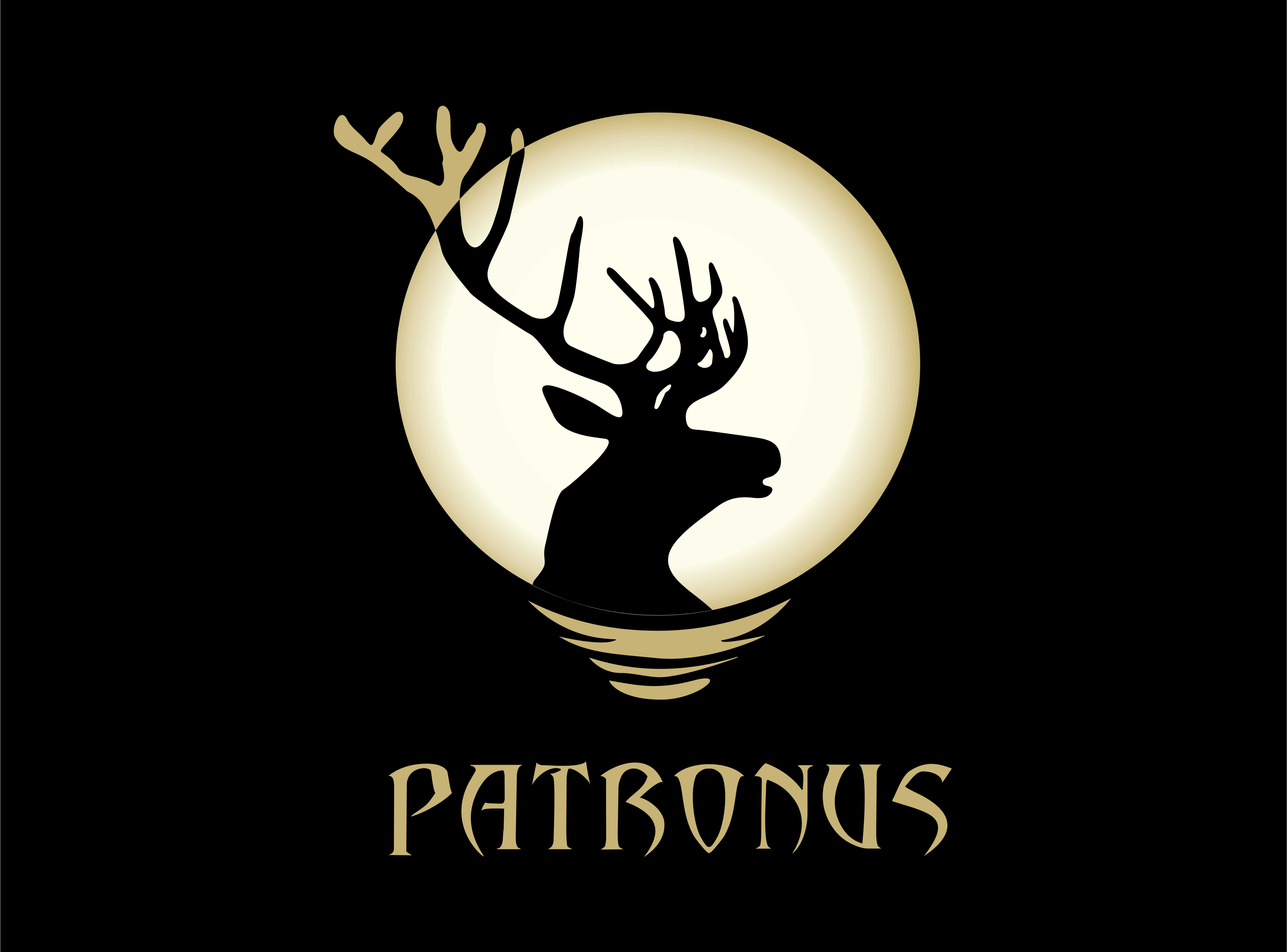 Patronus_劭aaaaa-站酷ZCOOL