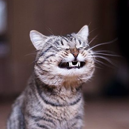 fragarach个人主页_杭州室内设计师-站酷ZCOOL