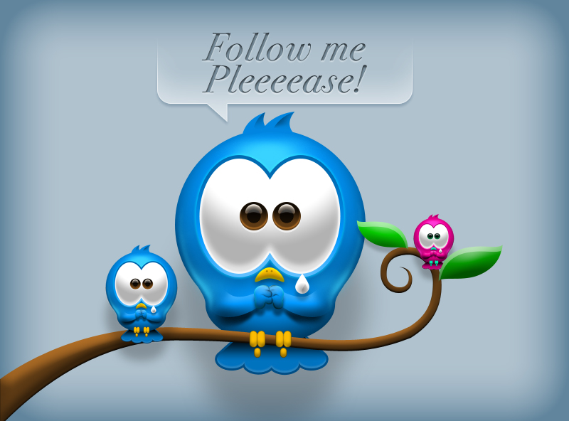 Follow me pleeeease~小鸟练习_彽调菂猫-站酷ZCOOL