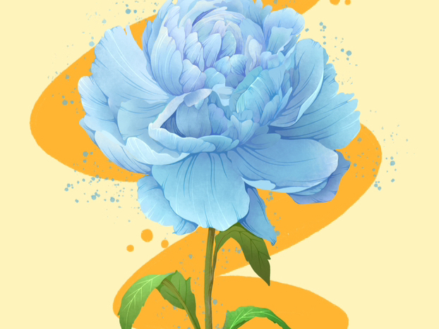 iapd扁平肌理风｜蓝色牡丹_糖炒李子li-站酷ZCOOL