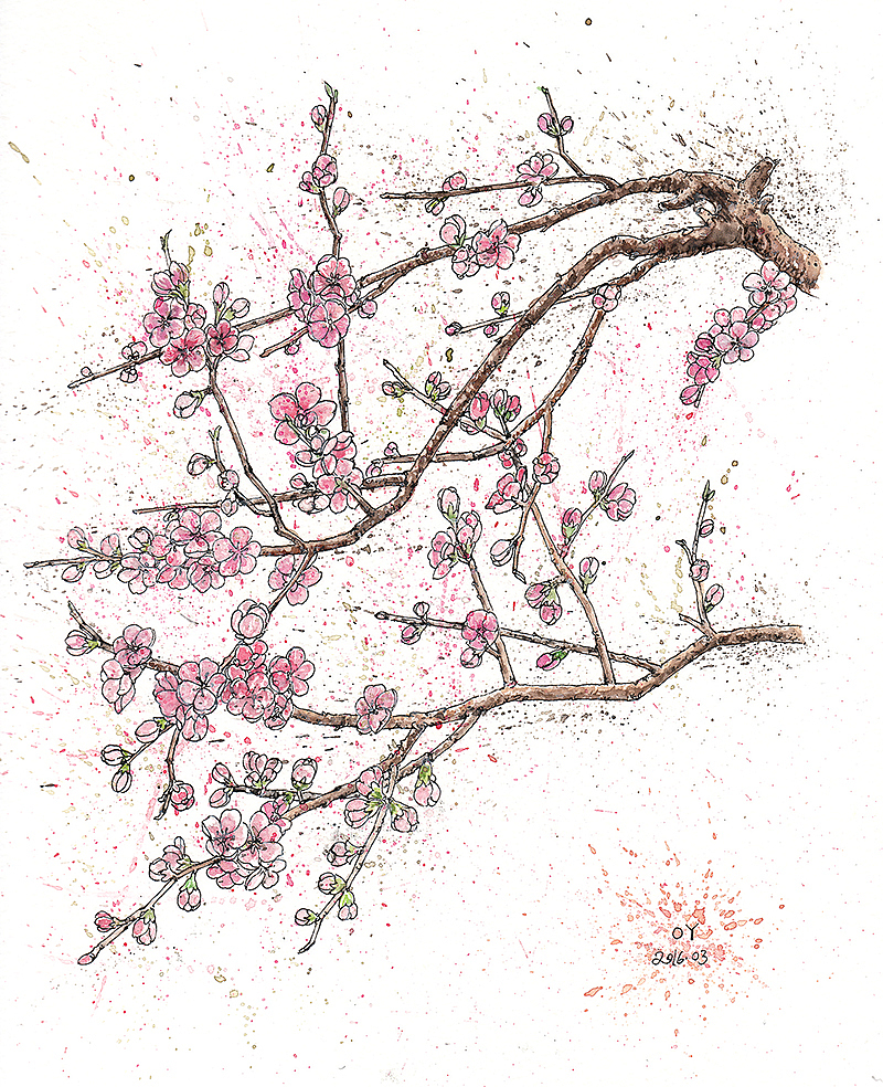 OY手绘·一天一画50_欧阳鹏杰_OY-站酷ZCOOL