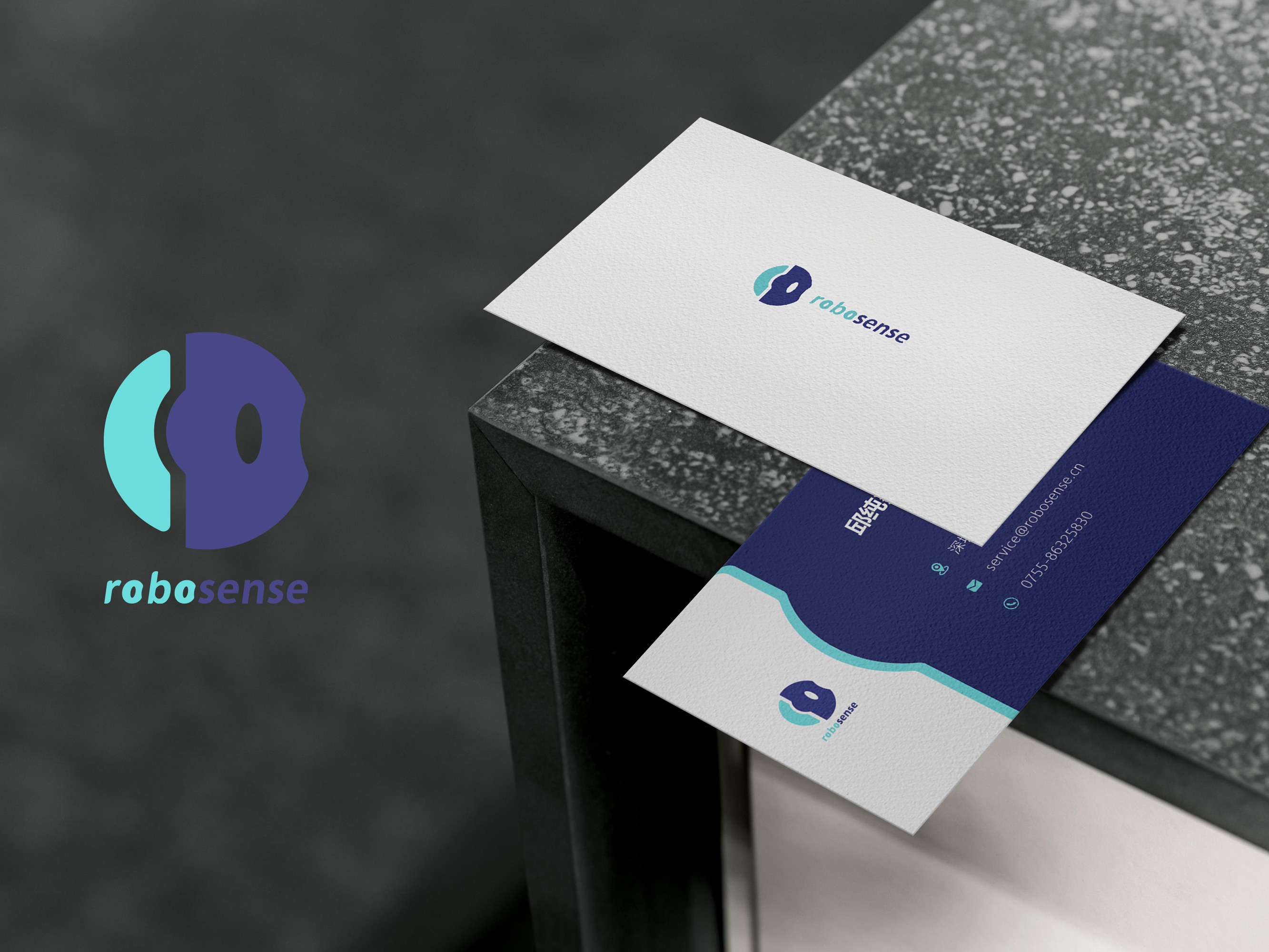 RoboSense品牌-vi视觉识别系统设计_田二TIANR-站酷ZCOOL