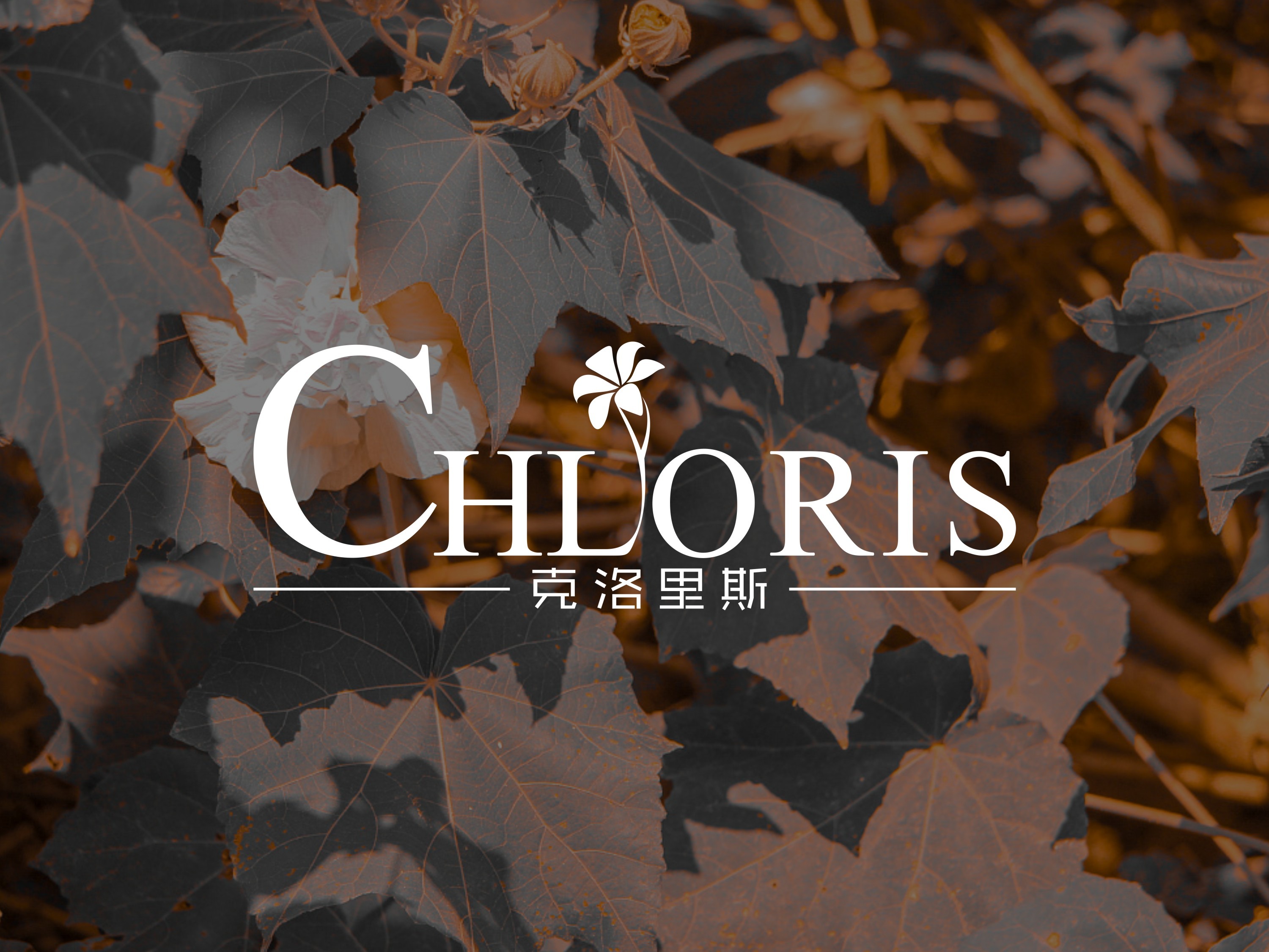 CHLORIS-logo设计_天泽雪-站酷ZCOOL