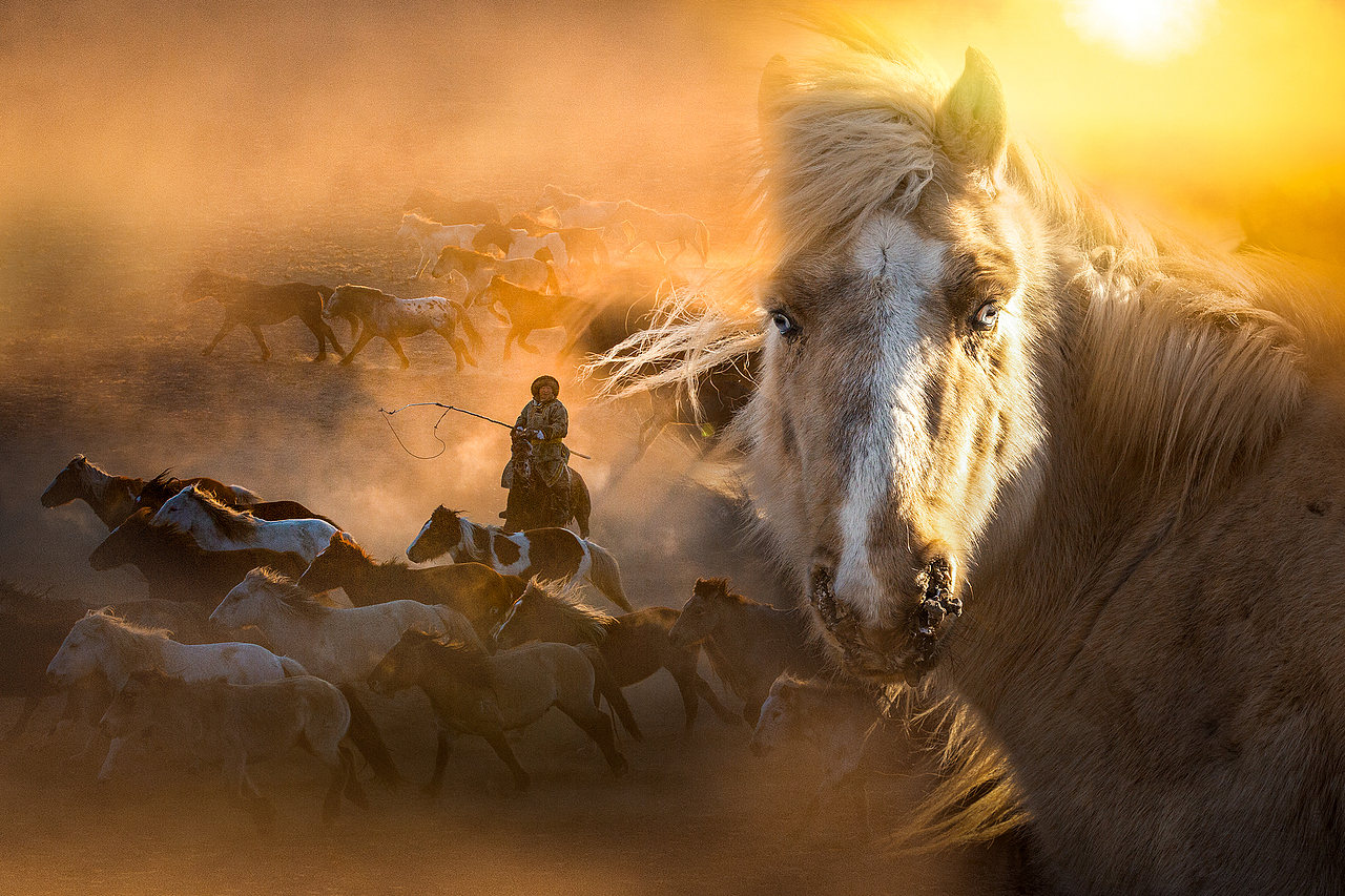 这是我的主场_一切kkk-站酷ZCOOL