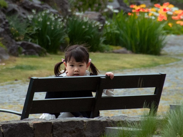 辰山植物园_翩翩_peng-站酷ZCOOL