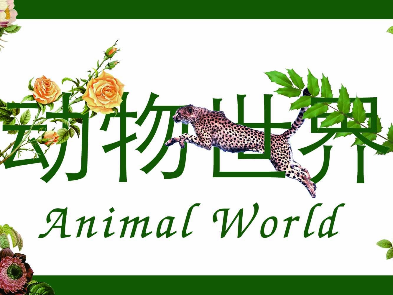 海报_lishuangli-站酷ZCOOL