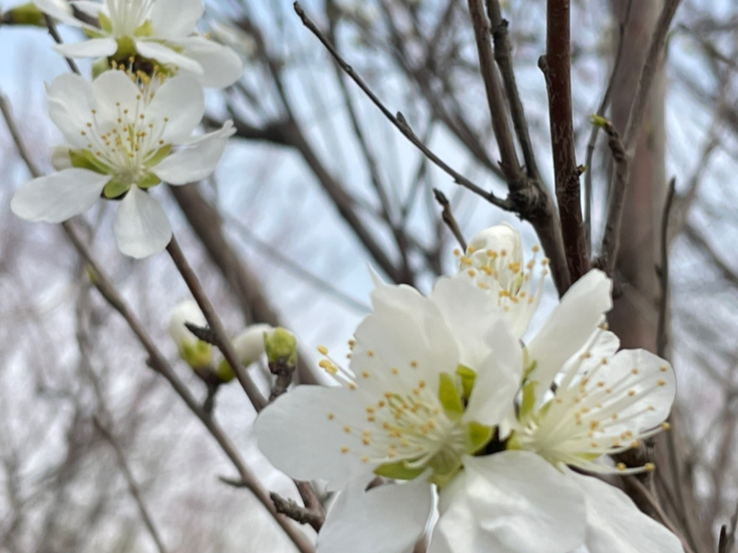 花花_幻影流光-站酷ZCOOL