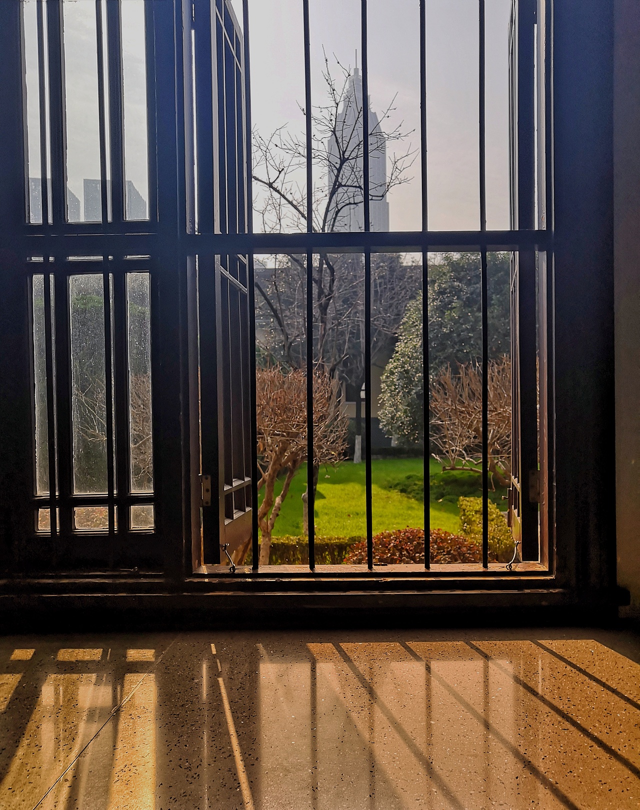 总统府的猫_rirrirrirrrirrir-站酷ZCOOL