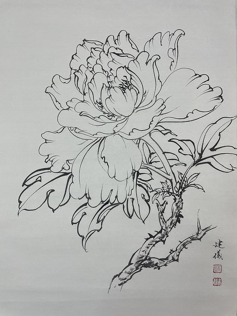 白描牡丹甄建仪 站酷zcool
