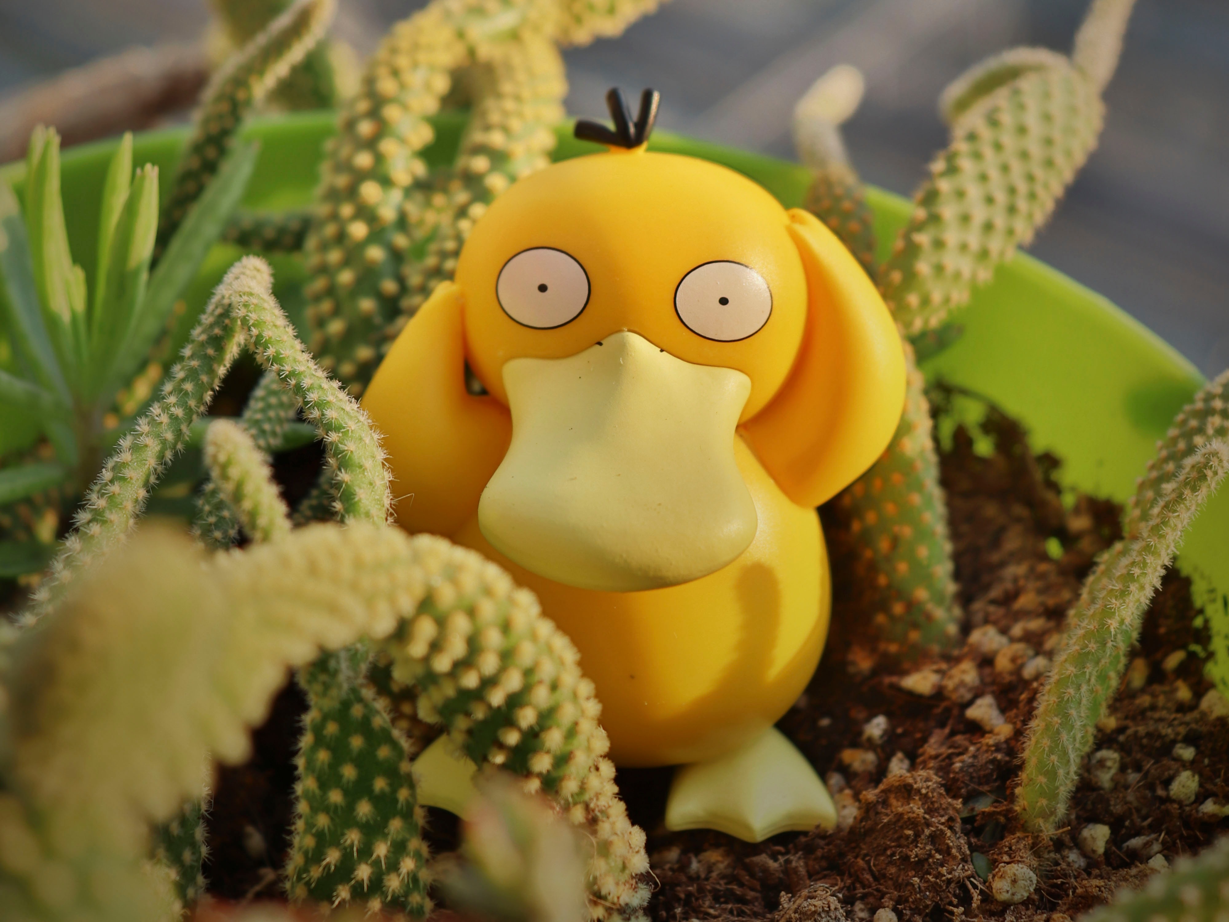 妙蛙种子 ’可达鸭_hhllx-站酷ZCOOL