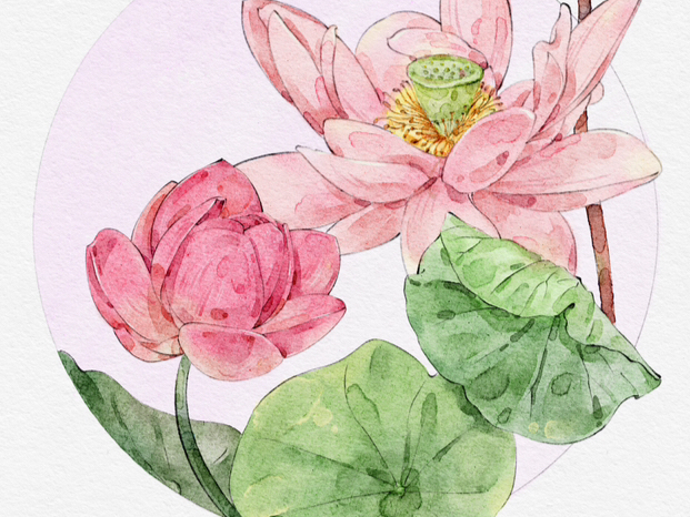 好想送你一张明信片 水彩荷花_呆小胖666-站酷ZCOOL