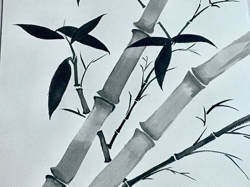 竹_iigg-站酷ZCOOL