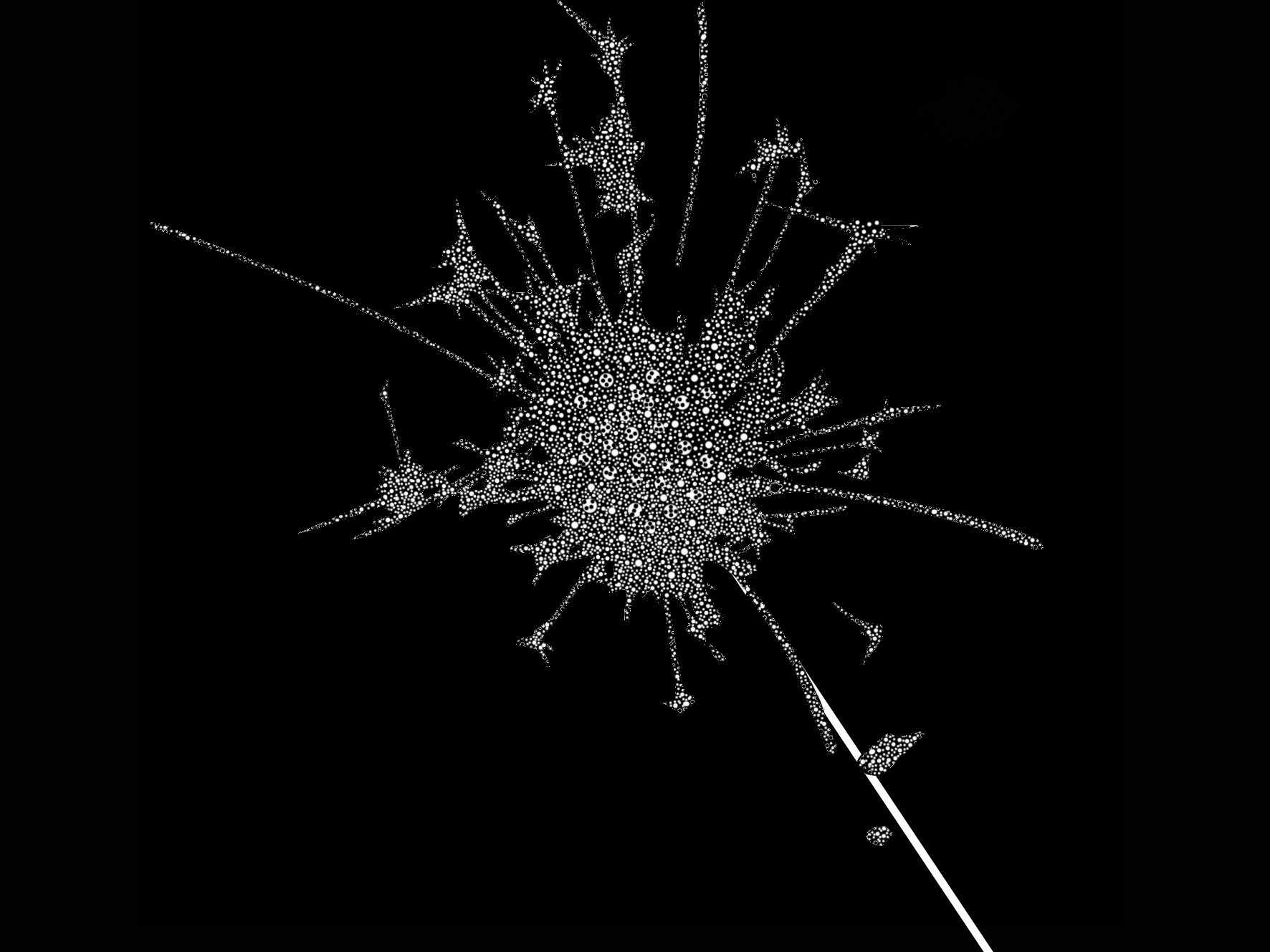 18-1 徐欣 11803178 密集构成_xxxuu-站酷ZCOOL