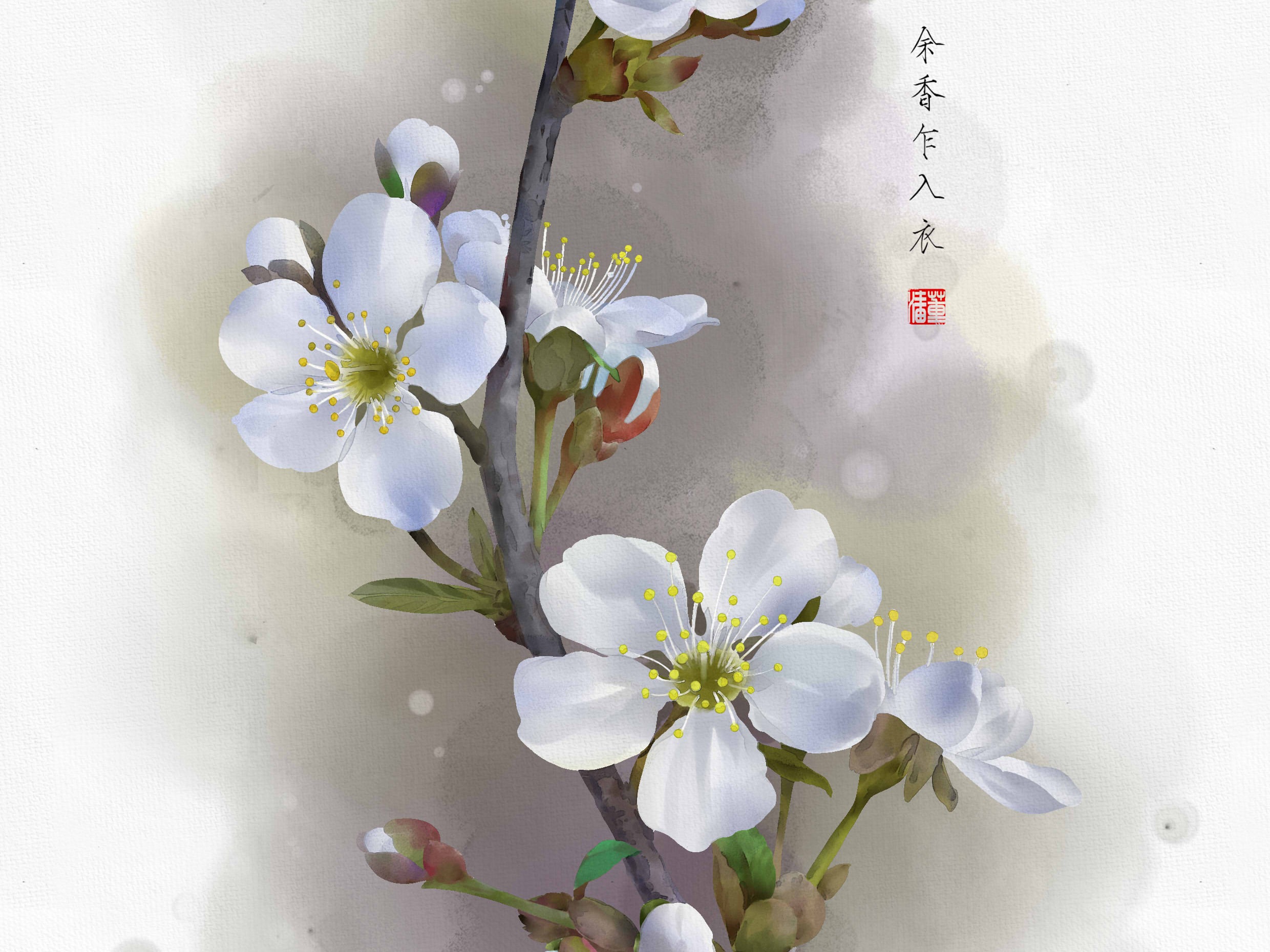 SAI水彩花卉练习10_pandong0575-站酷ZCOOL