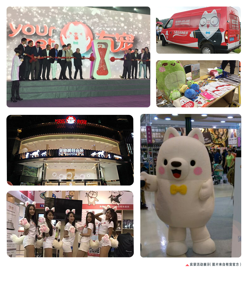 Yourpet有宠-IP形象设计 ——【泰而美动漫】_泰而美动漫-站酷ZCOOL