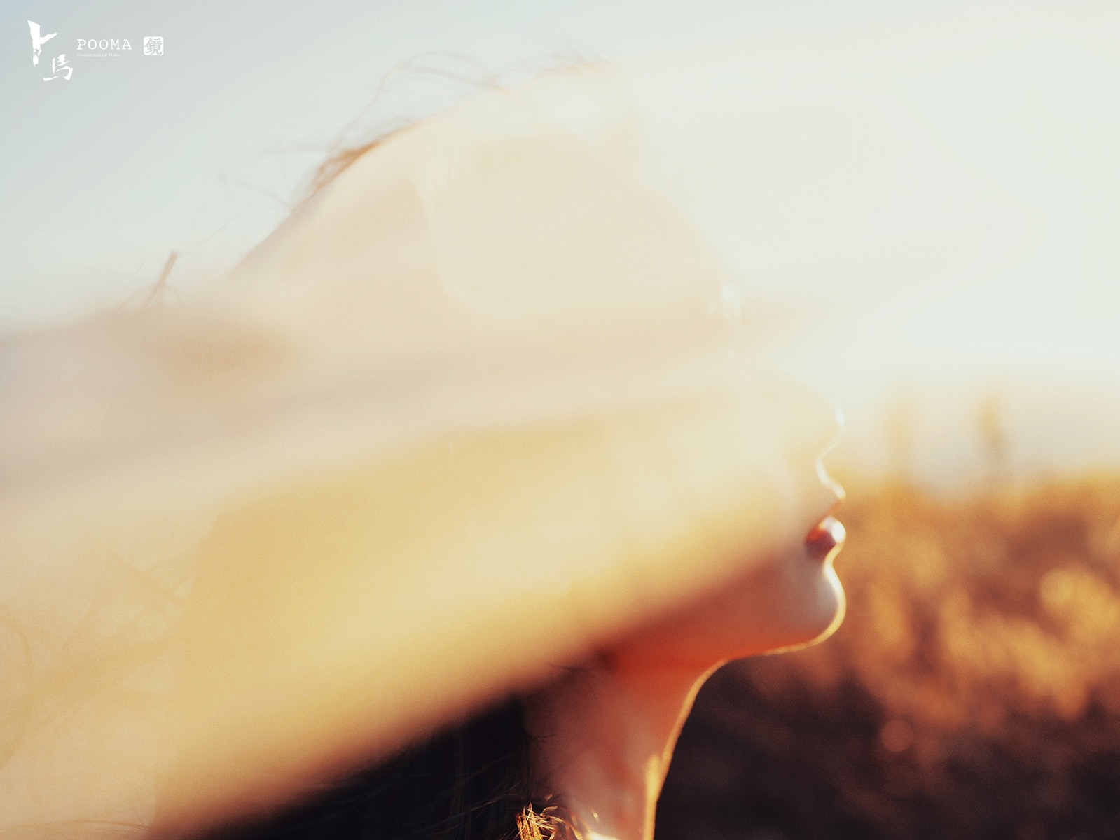 你就是我的所有运气_Pooma卜马-站酷ZCOOL