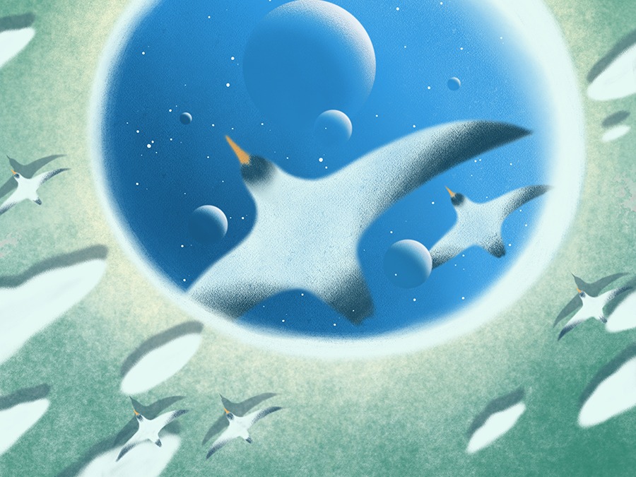 飞扬-Part3_张旭加-站酷ZCOOL