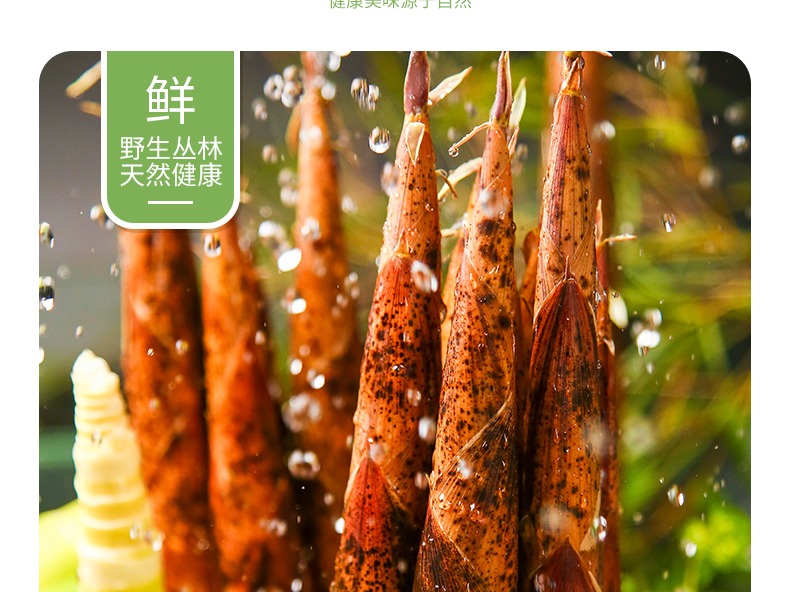 竹笋详情页_Wen_UuU-站酷ZCOOL