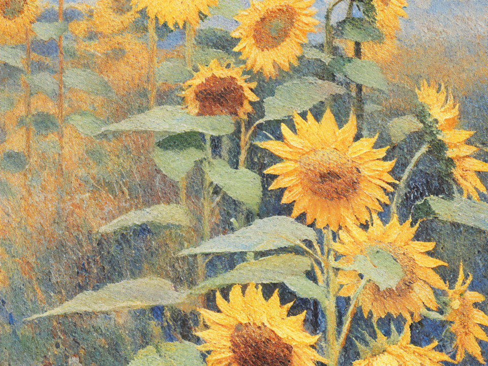 插画｜向日葵_Sunny老师-站酷ZCOOL