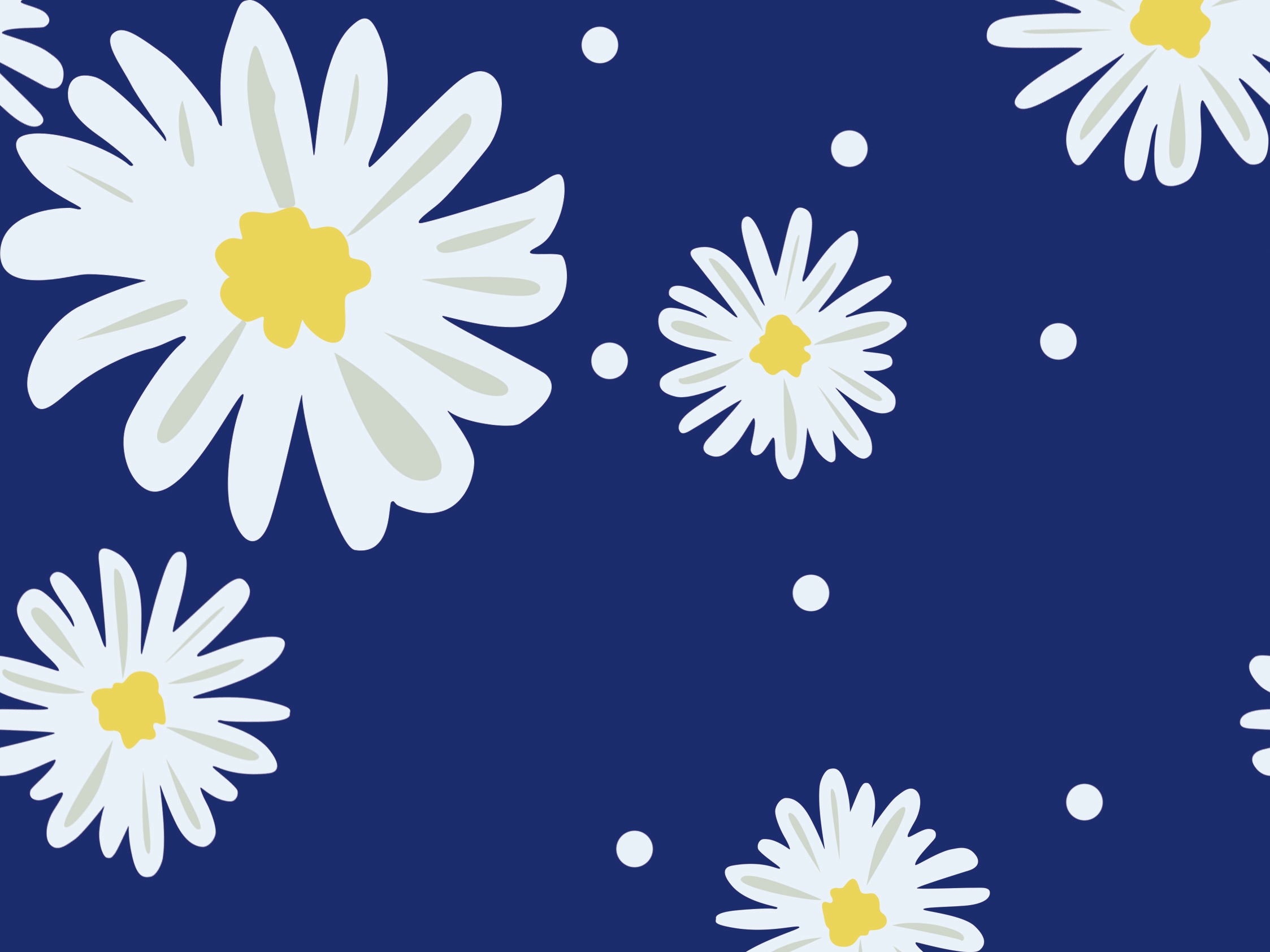 小雏菊_Elaine_LYT-站酷ZCOOL