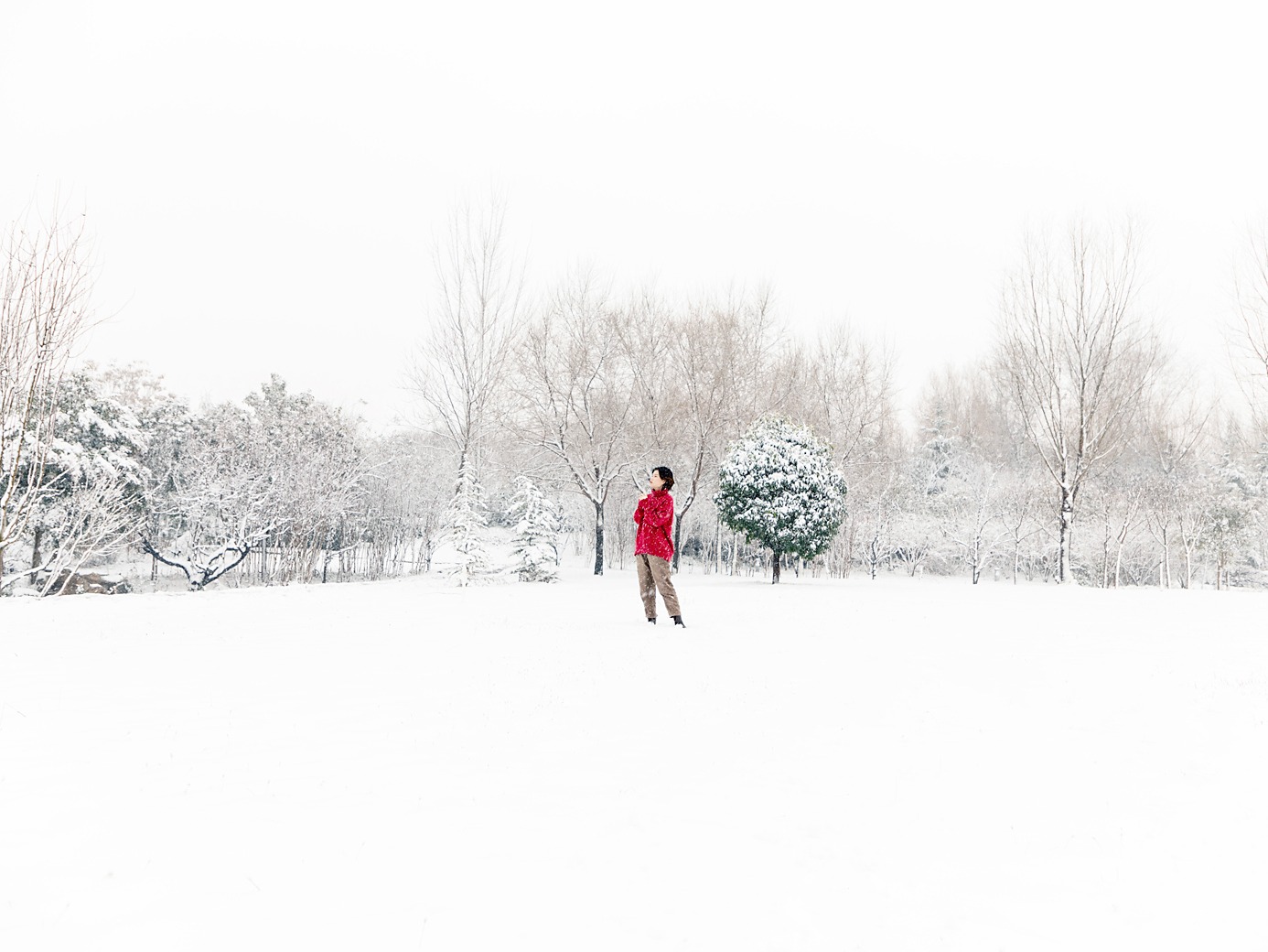 红毛衣_pear1103-站酷ZCOOL