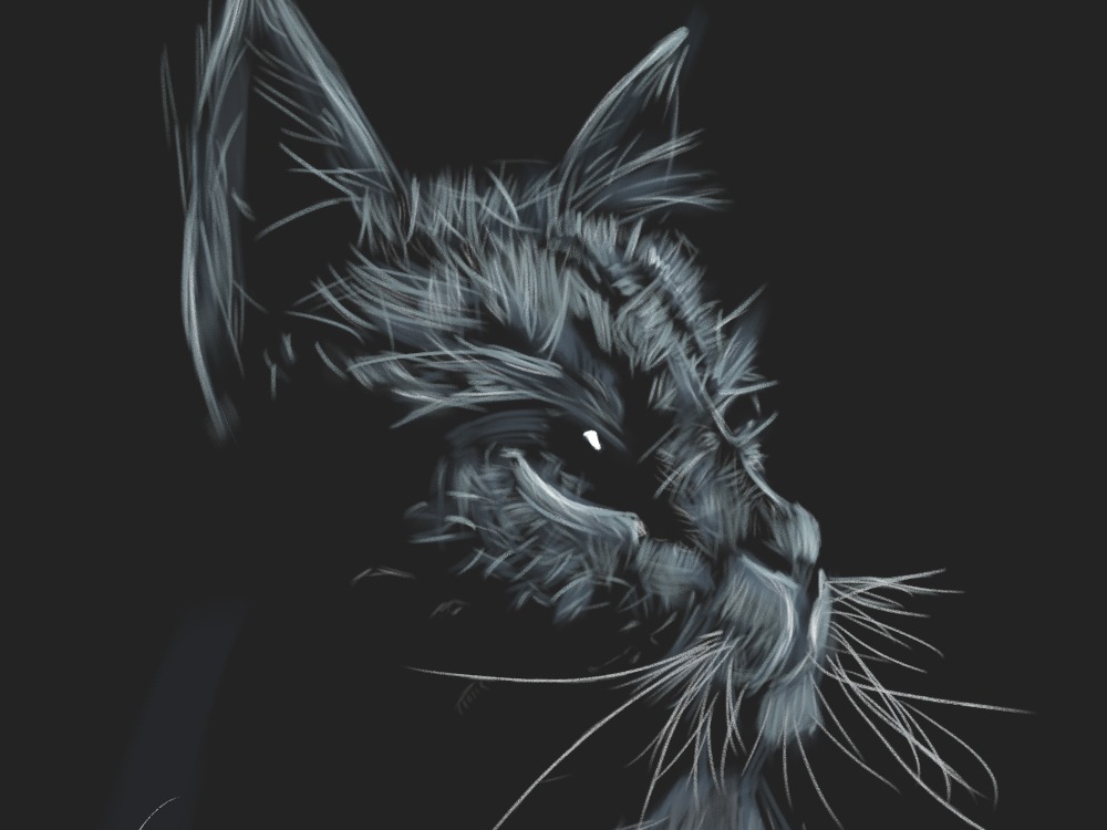 猫_Grinxiang-站酷ZCOOL