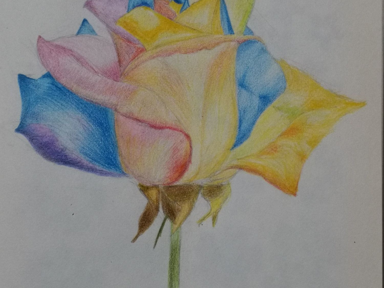 彩铅画_空白321-站酷ZCOOL