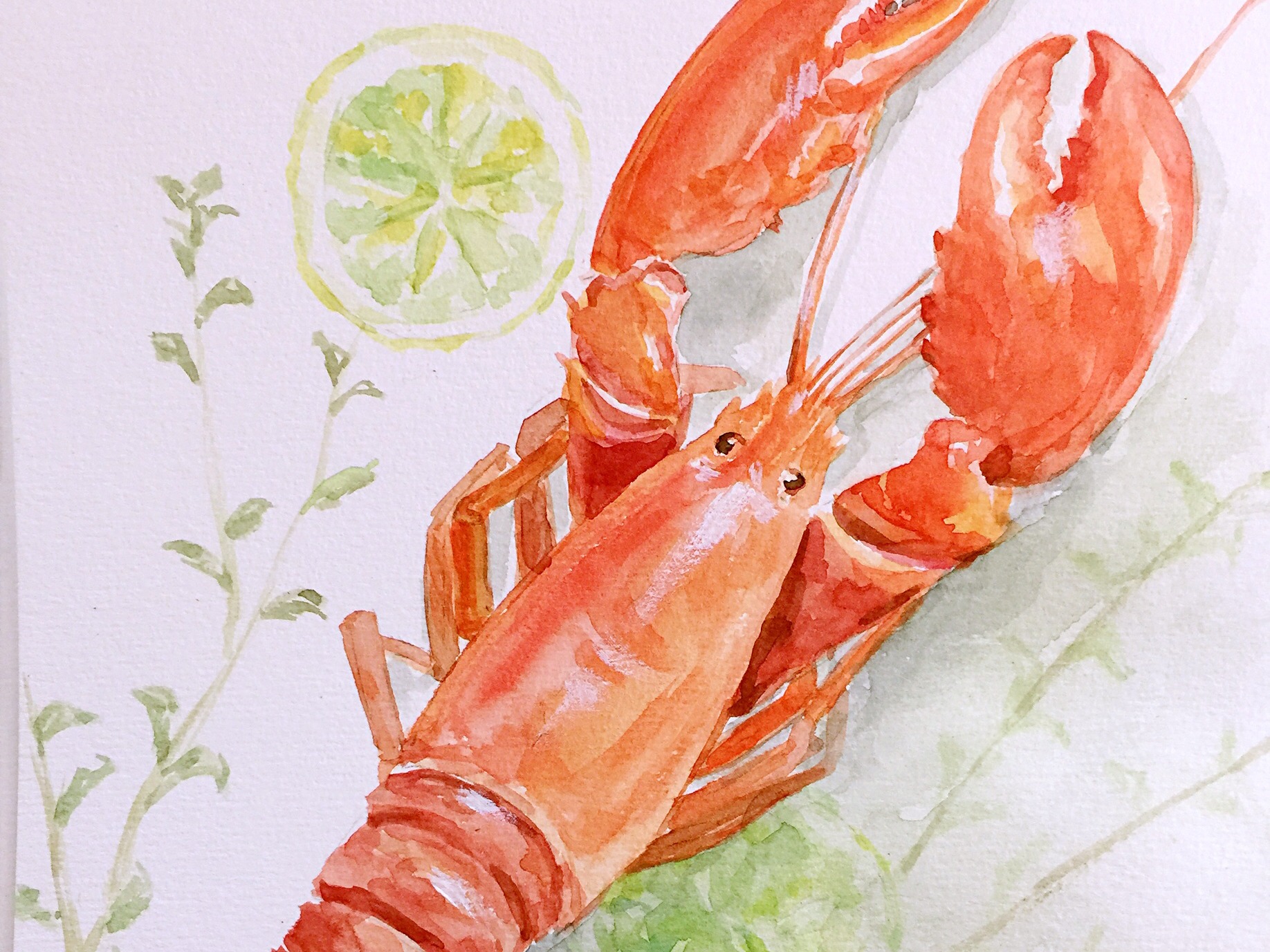 龙虾_cuixiaoyu8-站酷ZCOOL