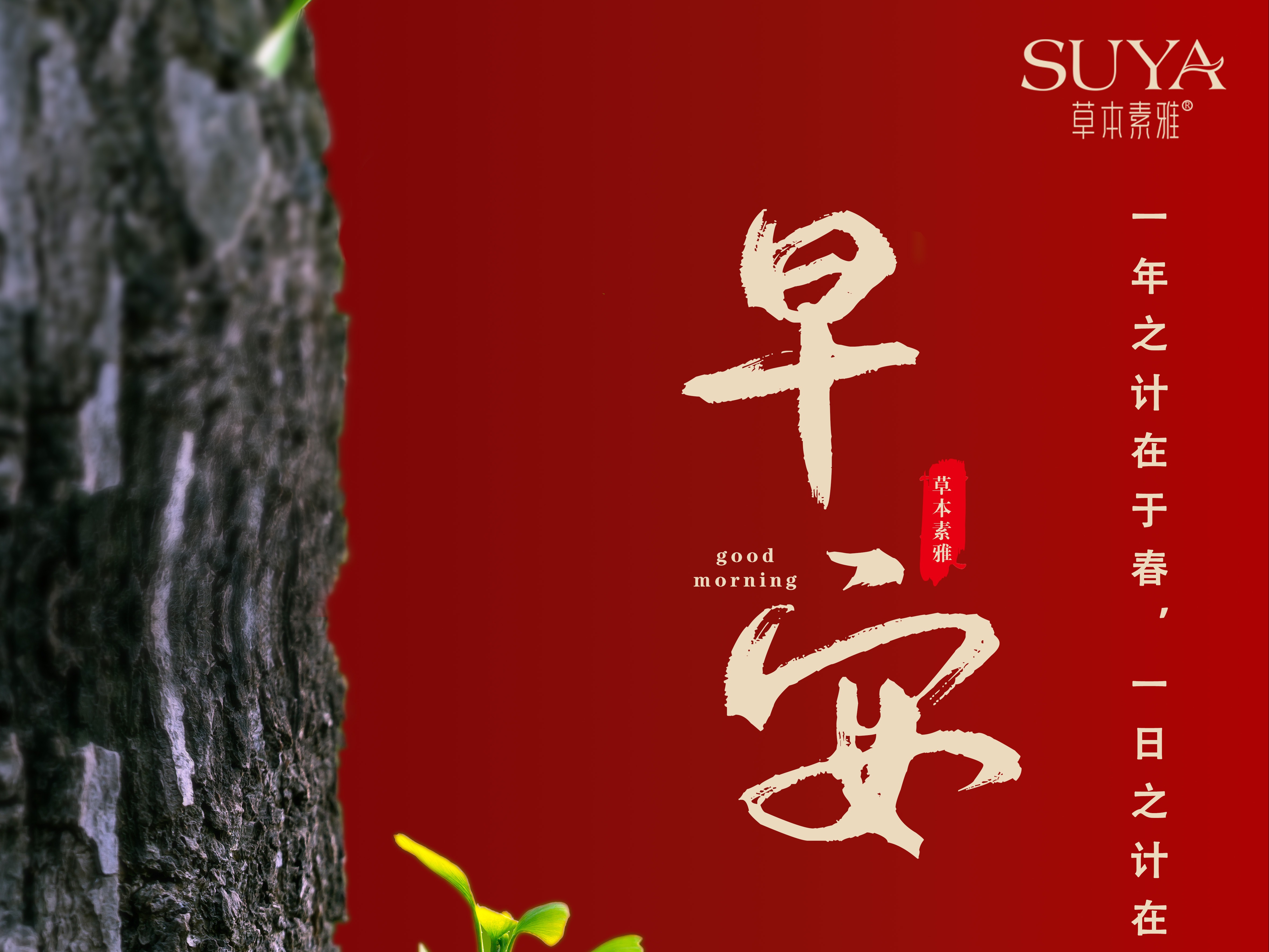 早安_CYB设计-站酷ZCOOL