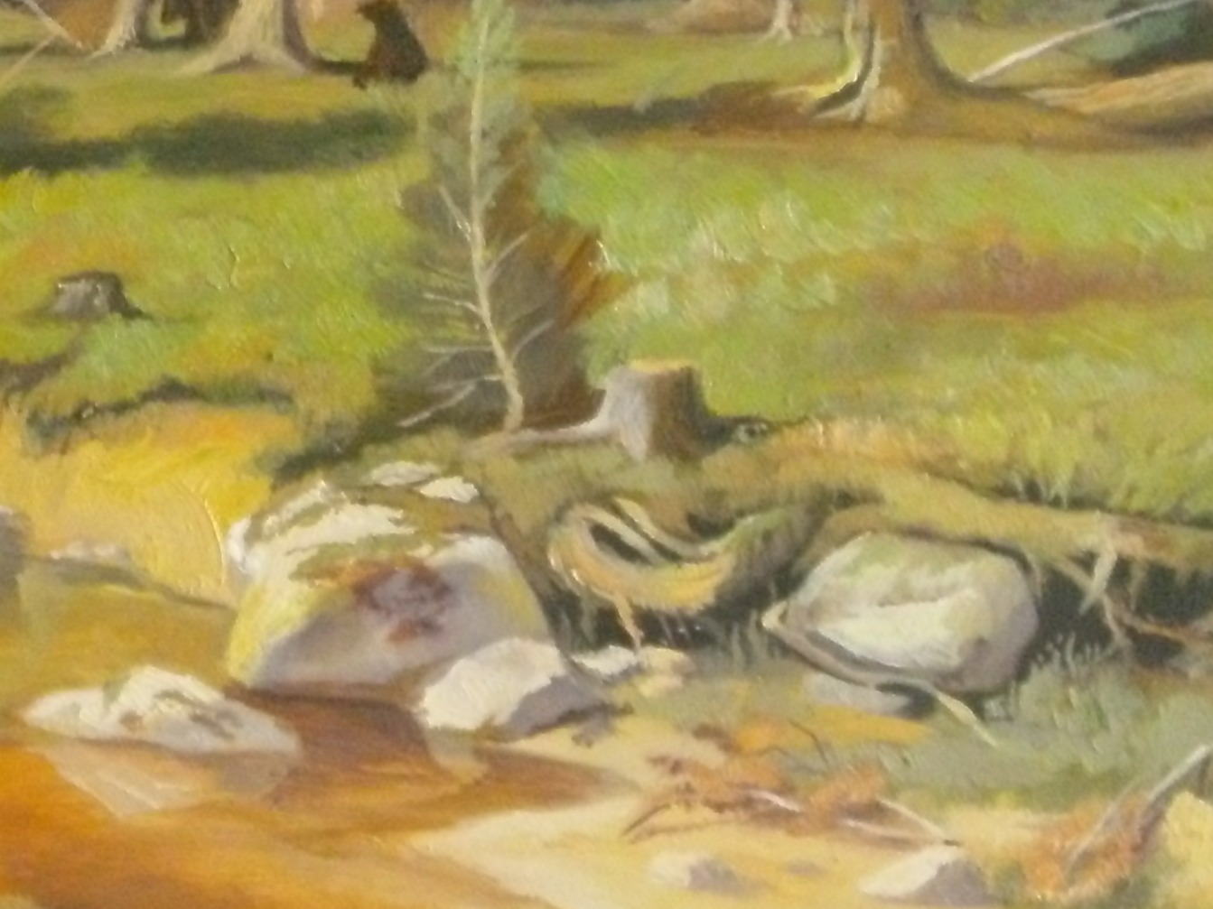 森林_糊糊琪-站酷ZCOOL