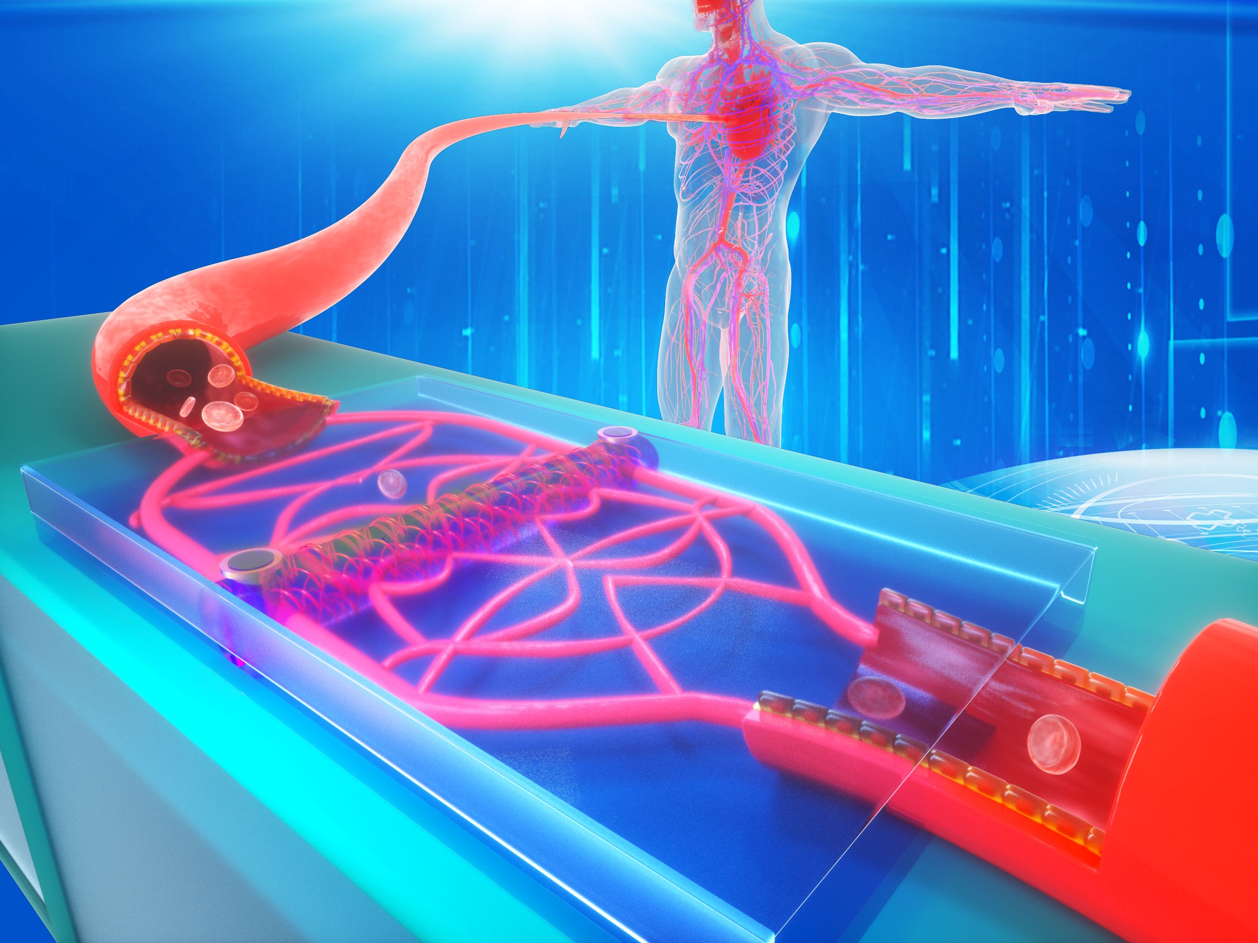 RSC_scihua-站酷ZCOOL