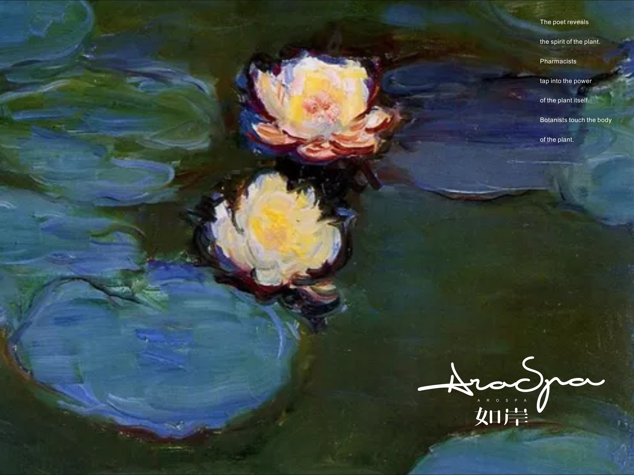 如岸|Arospa|LOGO设计_招财猫品牌策划-站酷ZCOOL