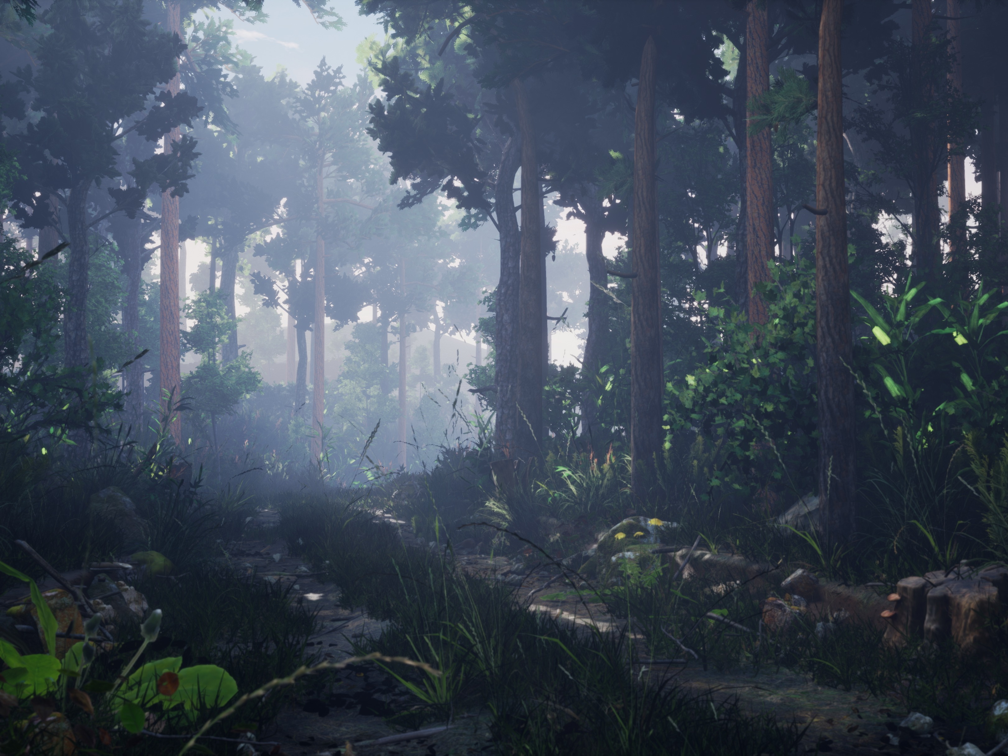 UE4森林_xzmxch2017-站酷ZCOOL