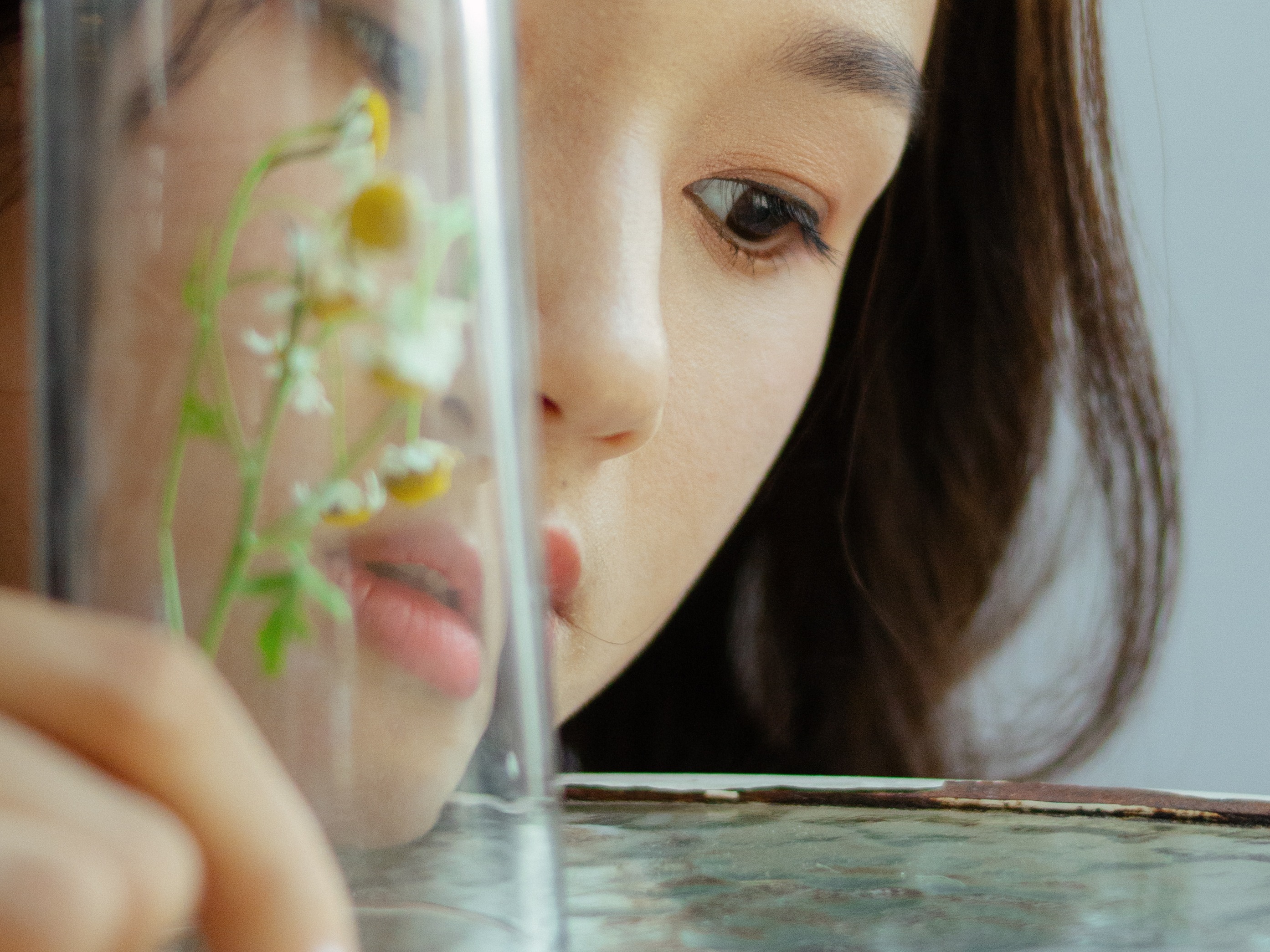 洋甘菊_土鳖艺术家_-站酷ZCOOL