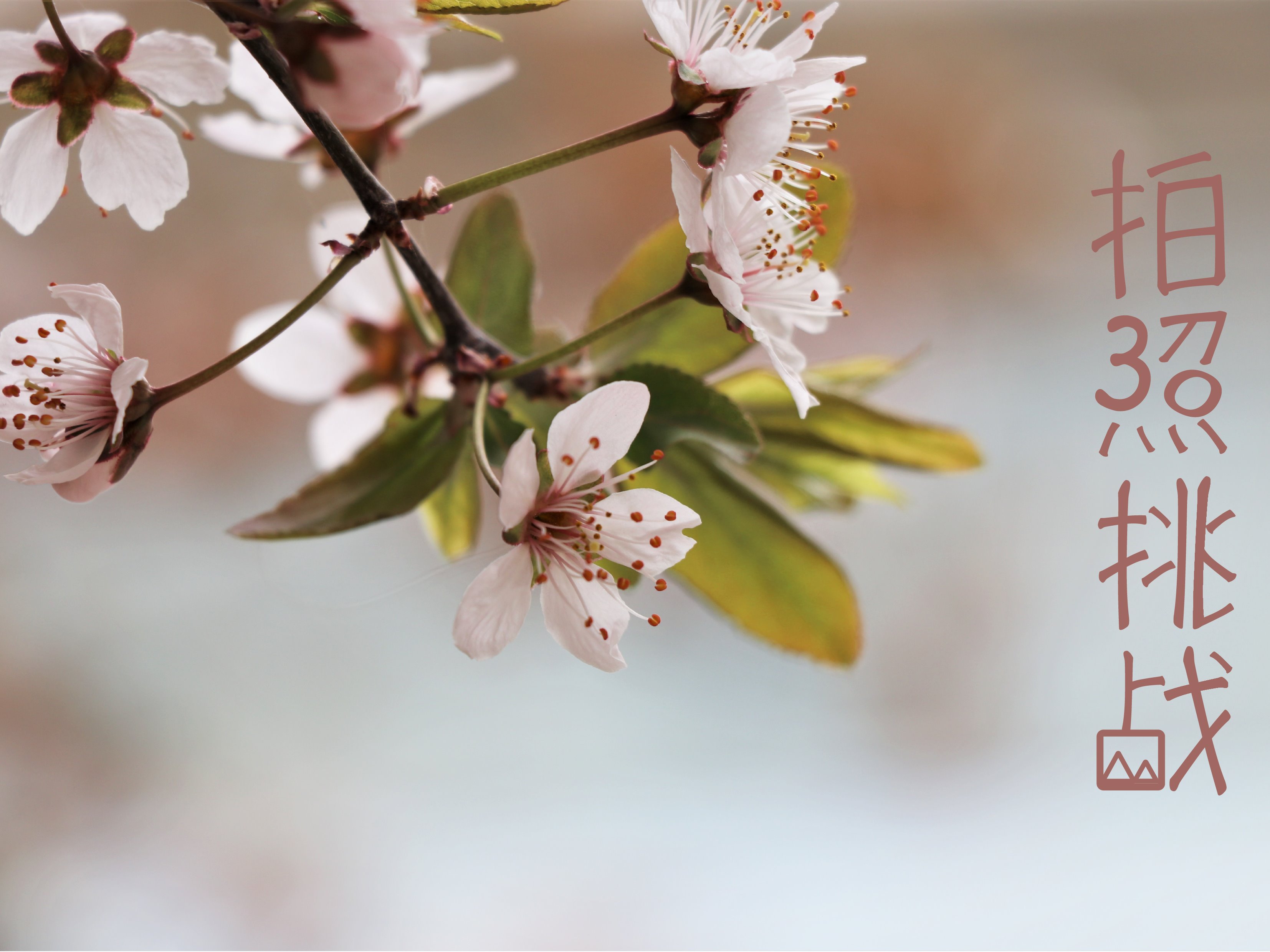 30天拍照挑战_刘美琪lmq69-站酷ZCOOL