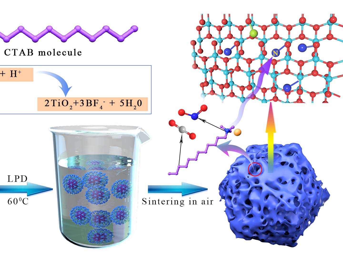 Ti_scihua-站酷ZCOOL