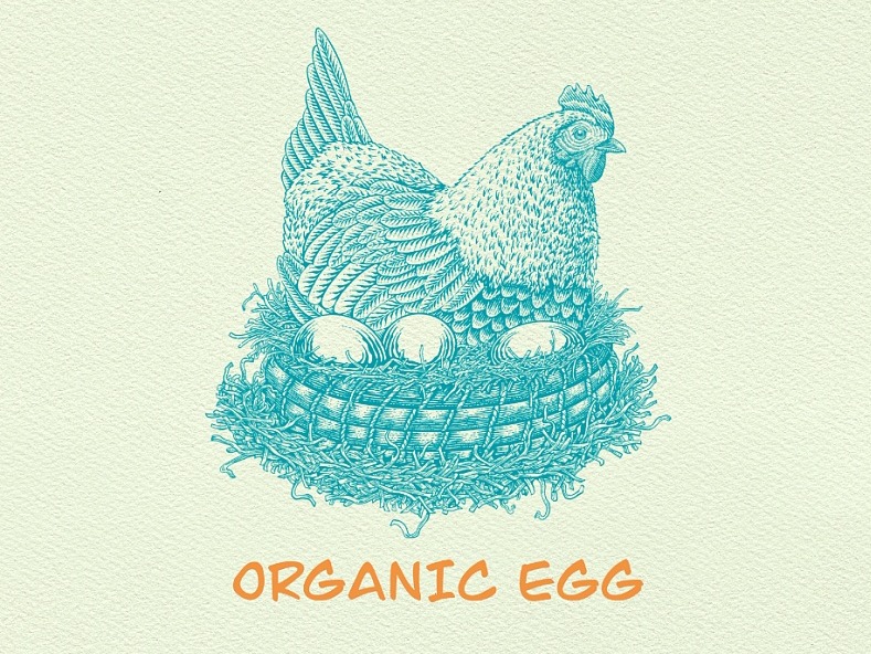 鸡蛋版画包装_凯旋z-站酷ZCOOL