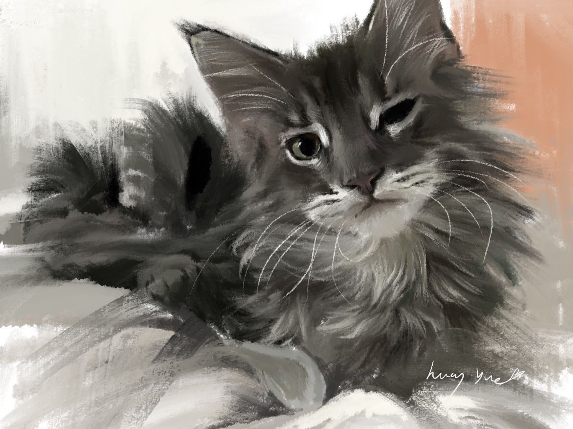 厚涂猫咪_Z091524802-站酷ZCOOL