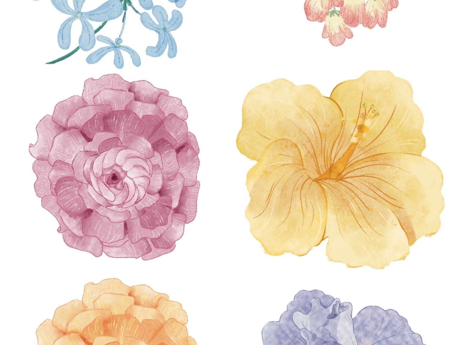 是花花🌸吖_Zoe品懿懿在画画-站酷ZCOOL