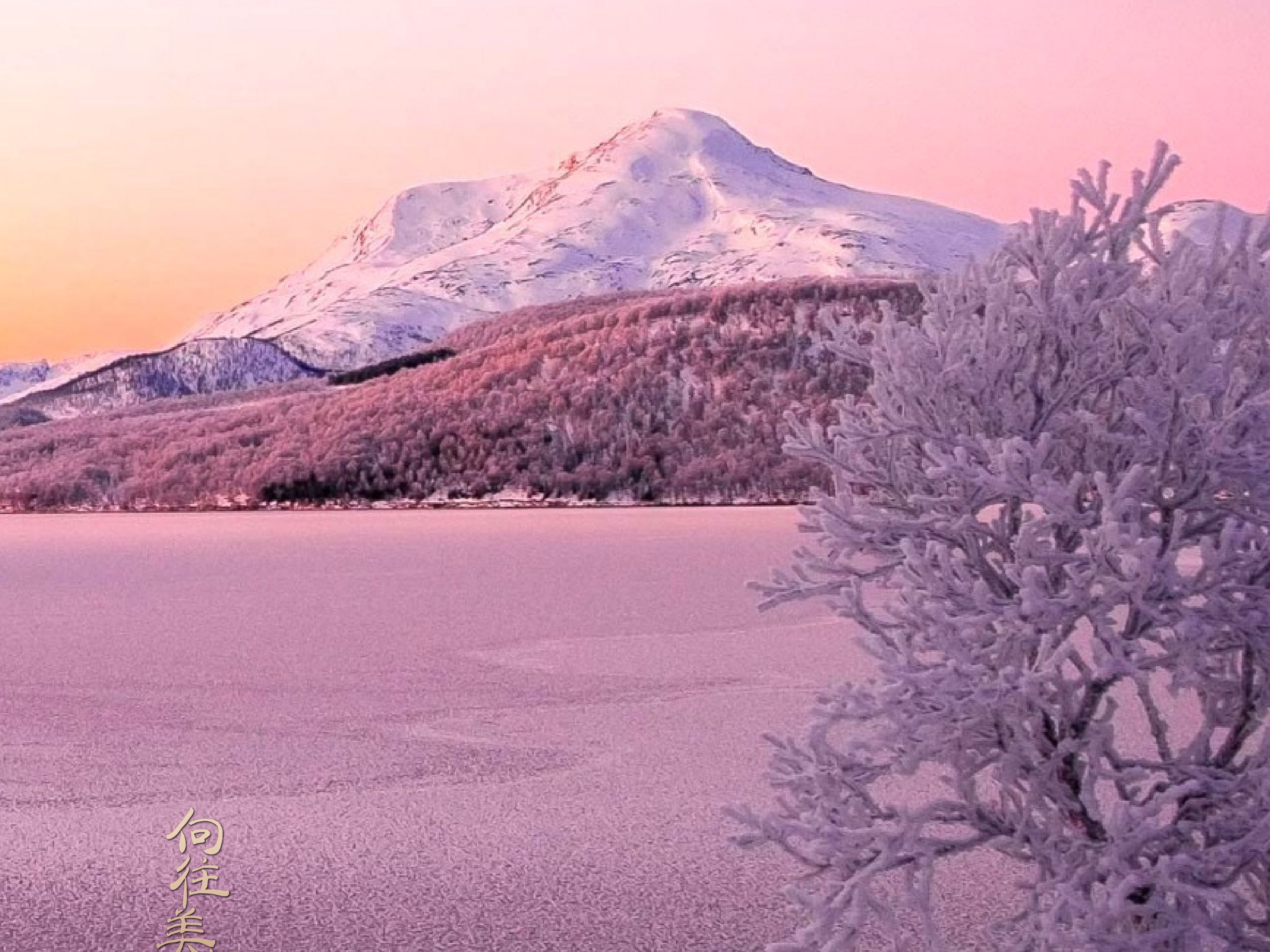 立冬_Jack丶Fox-站酷ZCOOL