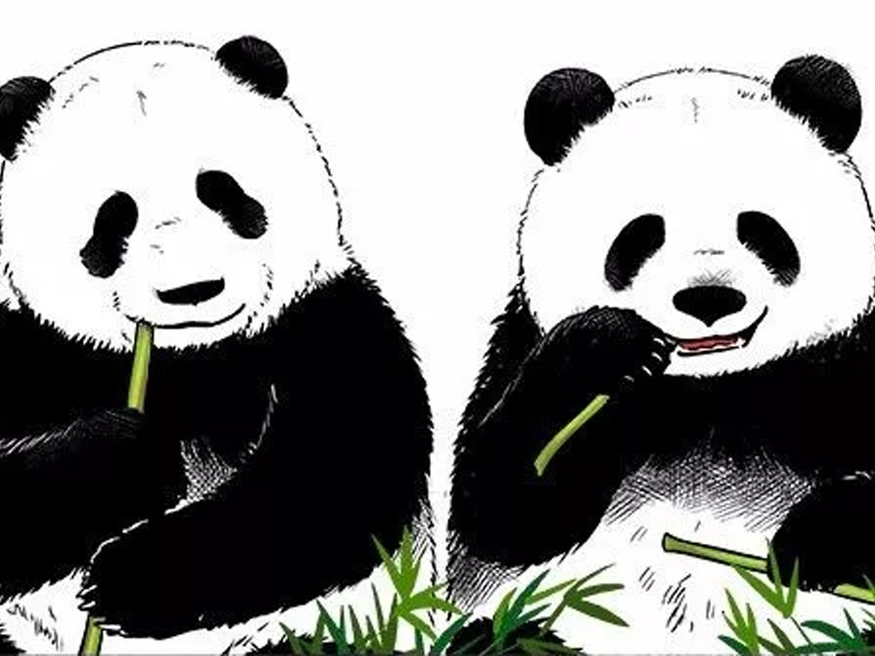 当信念动摇时......._奇思和圆宝-站酷ZCOOL