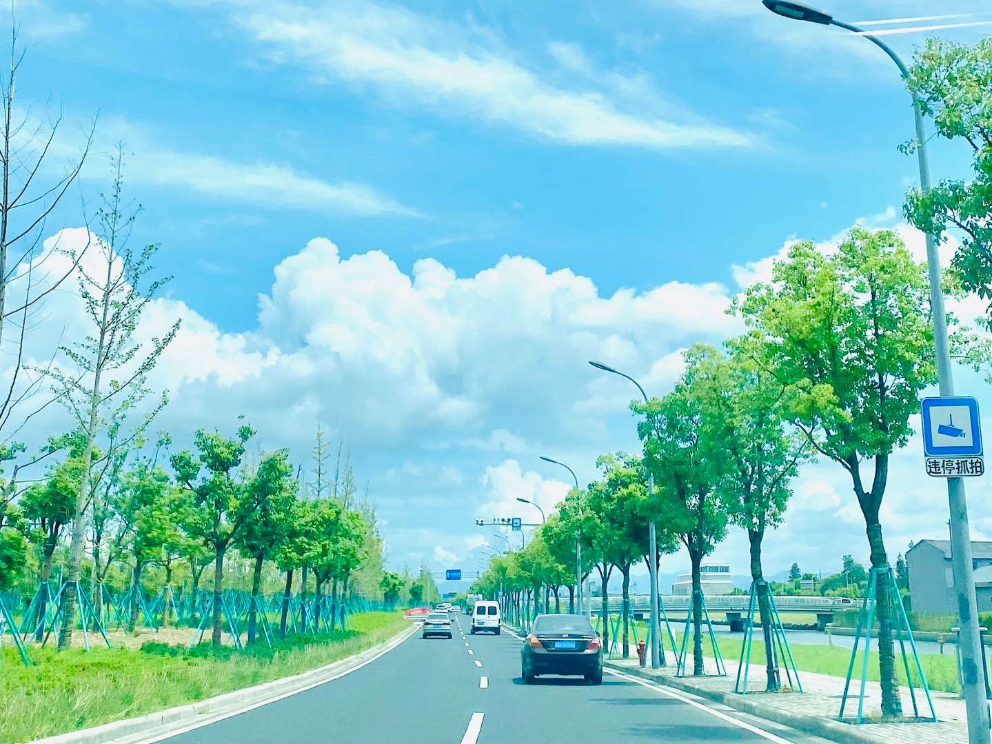 晴朗的午后-拍摄_Z_Zing-站酷ZCOOL
