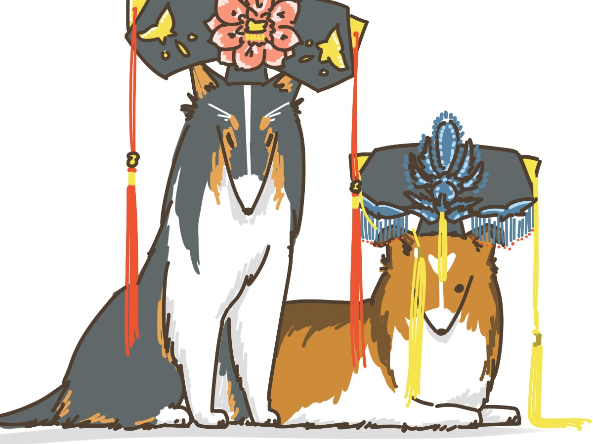 【二狗子日记】第8话：拉拉和花花_nosun123-站酷ZCOOL