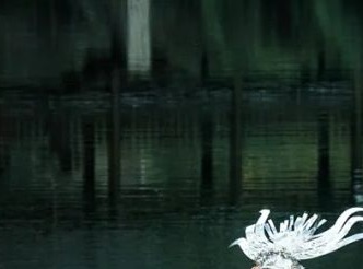 哈弗H6带你领略神奇贵州_哩哩里里-站酷ZCOOL