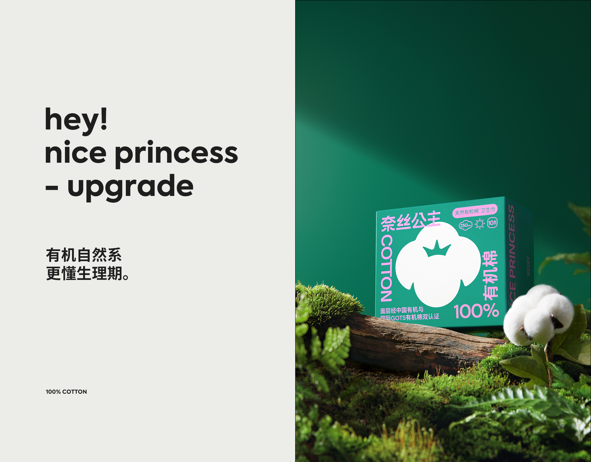 NICE PRINCESS 卫生巾品牌视觉新升级_wgj200-站酷ZCOOL