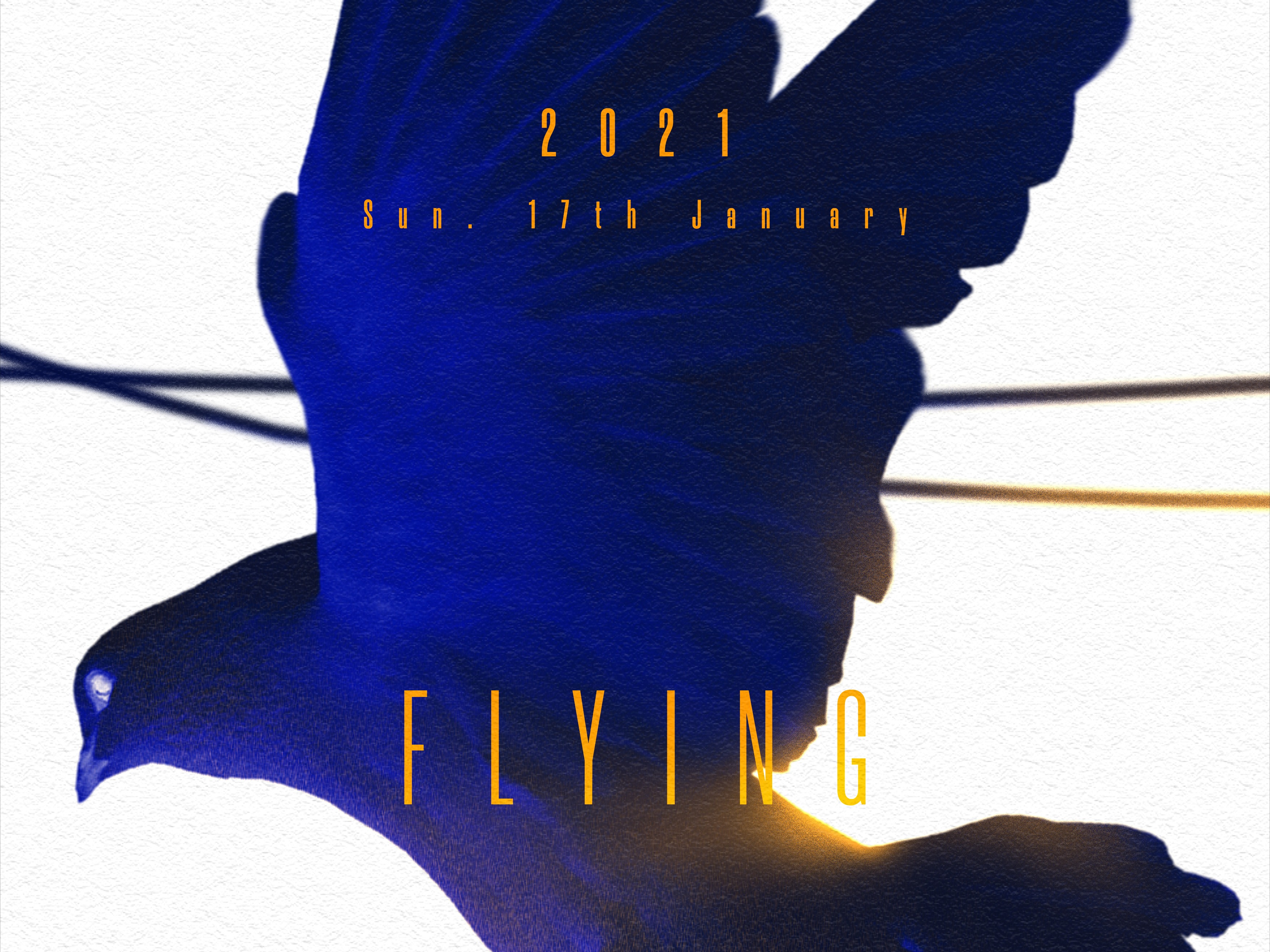 朱蟒专辑《FLYING》 发布音乐会_头很丸-站酷ZCOOL